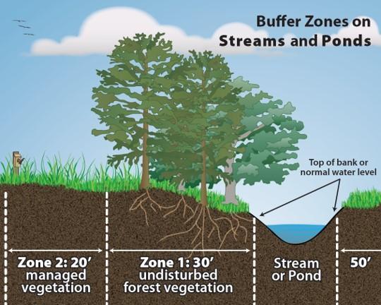 Riparian Buffer Rules Education and Outreach | NC DEQ